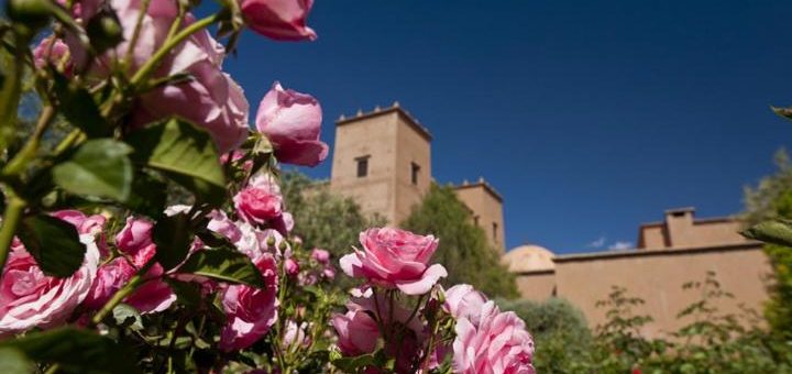 Kelaat M'Gouna Rose Festival | Morocco