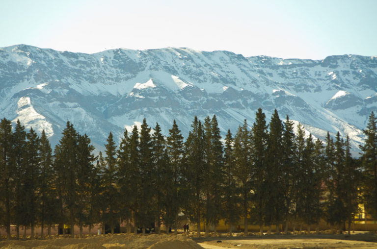 A Guide to Ifrane | Morocco Travel